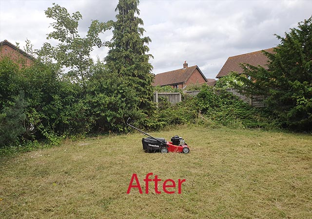 Gardening | Landscaping | Projects In London And Essex